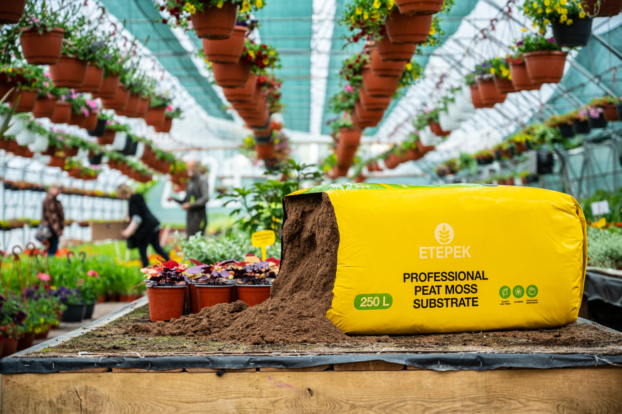 How to Use Peat Moss: Benefits & Easy Steps • Etepek.com