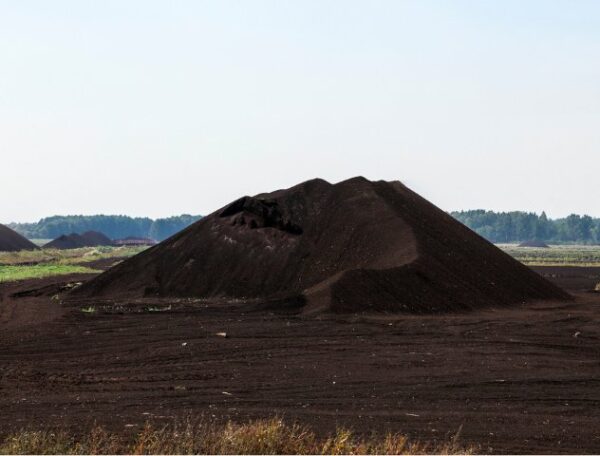 Peat Moss – Sustainable Quality | ETEPEK • Etepek.com