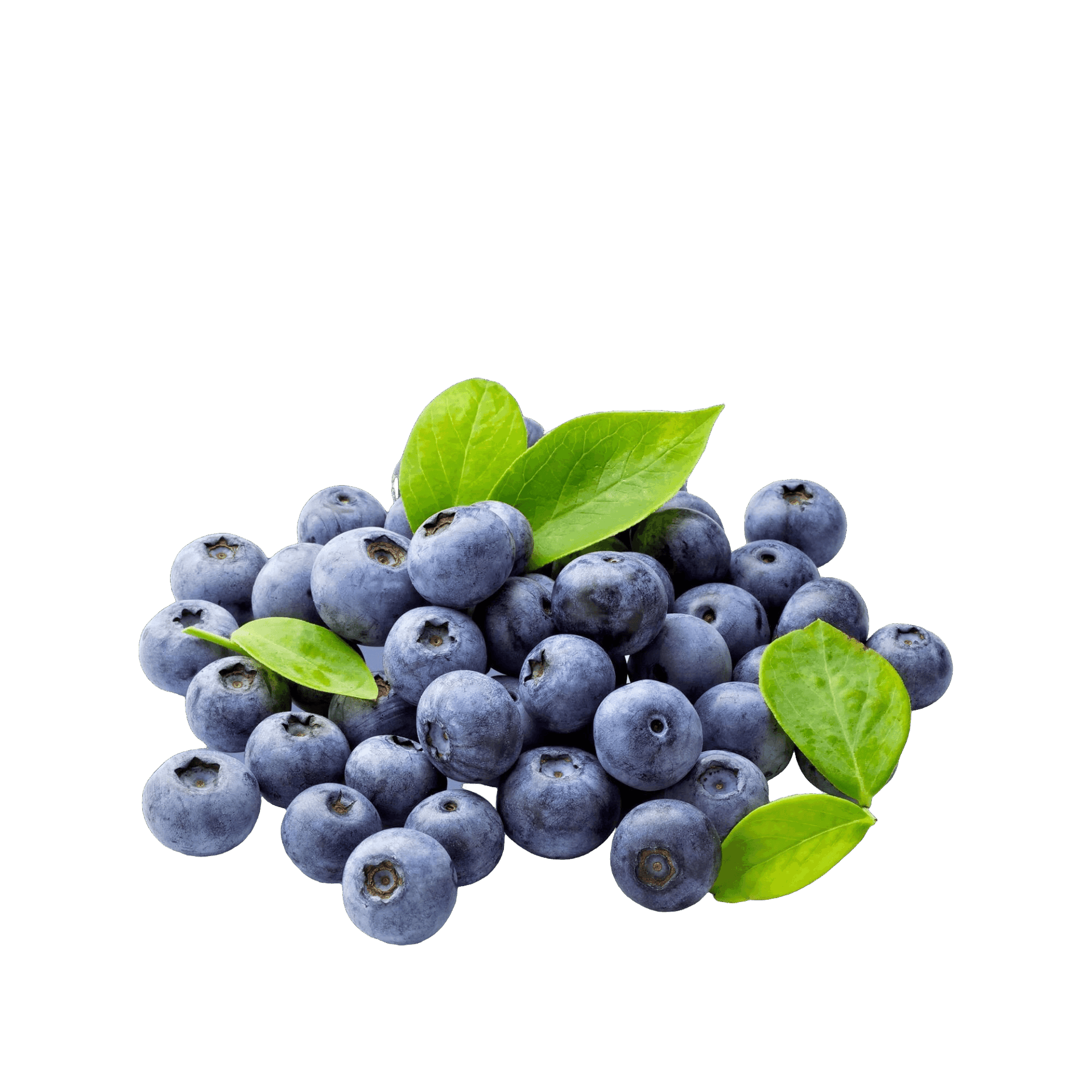 Peat Substrates for Blueberries & Acid-Loving Plants • Etepek.com