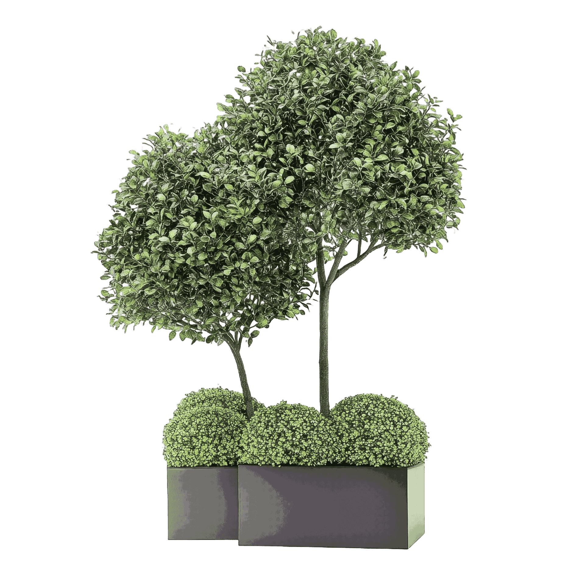 Premium Tree & Shrub Substrates • Etepek.com