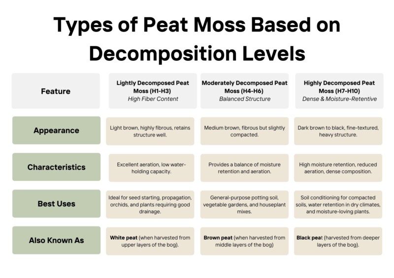 Peat Moss Decomposition: Choosing the Right Type for Your Plants ...