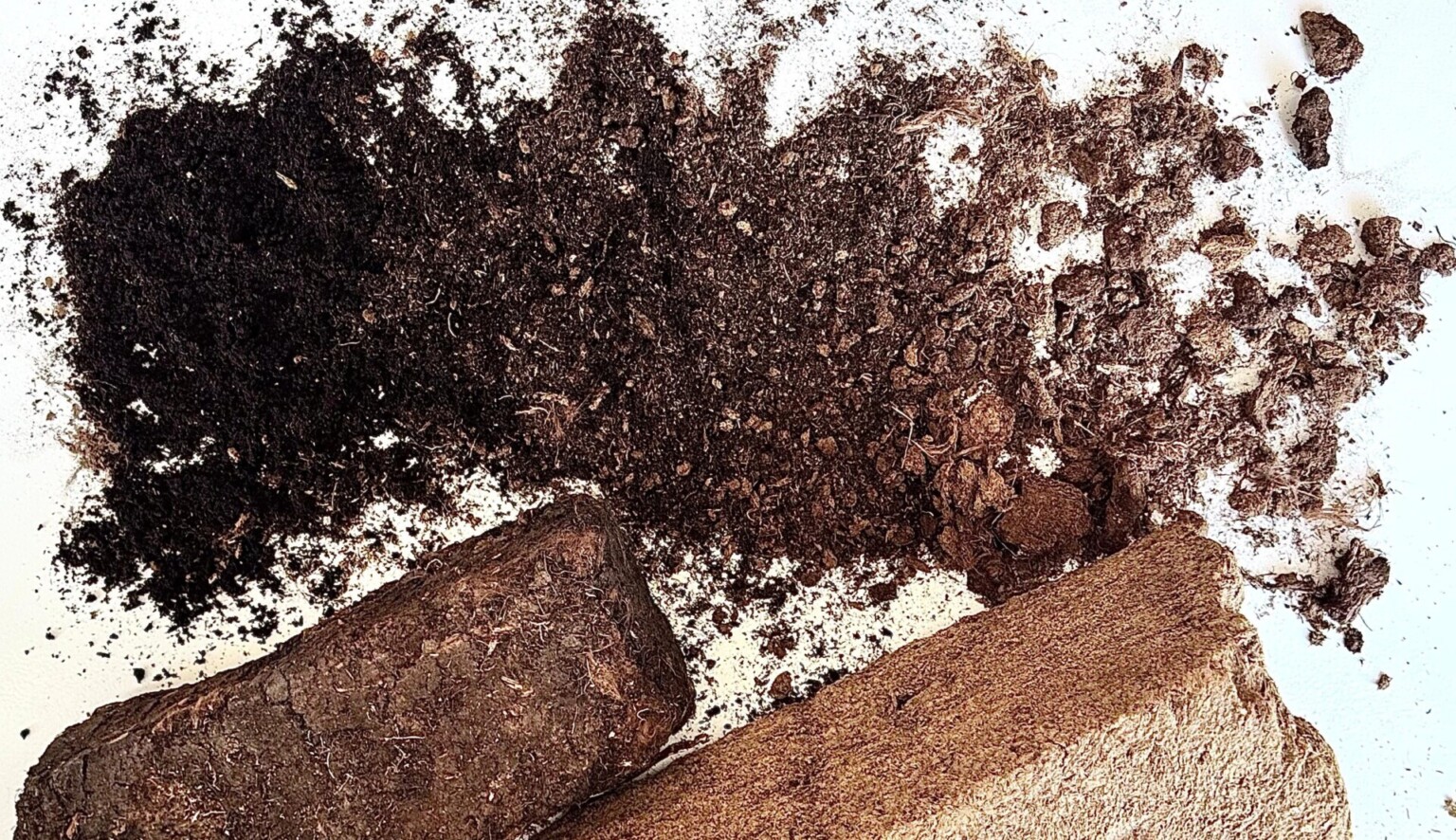 Peat Moss Decomposition: Choosing the Right Type for Your Plants ...