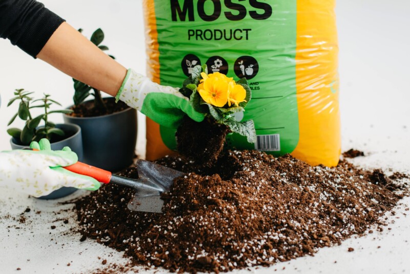 Custom Peat Substrates for Greenhouses and Nurseries | ETEPEK • Etepek.com
